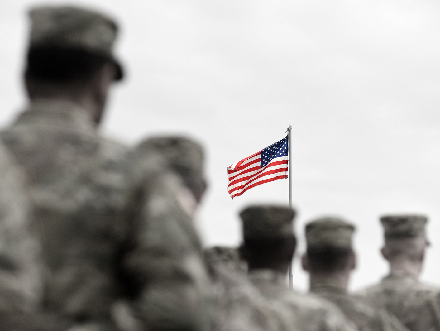 Vets Group Information Technology Academy – Vets Group